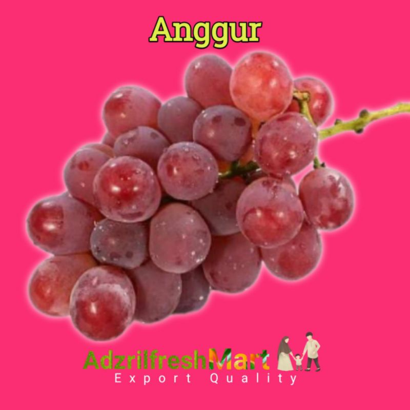 Jual BUAH ANGGUR MERAH RED GLOBE | Shopee Indonesia