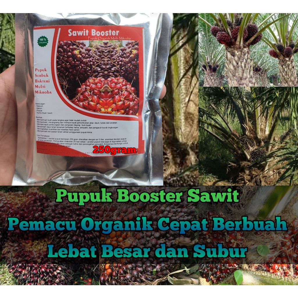 Jual Pupuk Sawit Organik Perangsang dan Booster Sawit Cepat Berbuah Lebat Pupuk Organik Penyubur ...