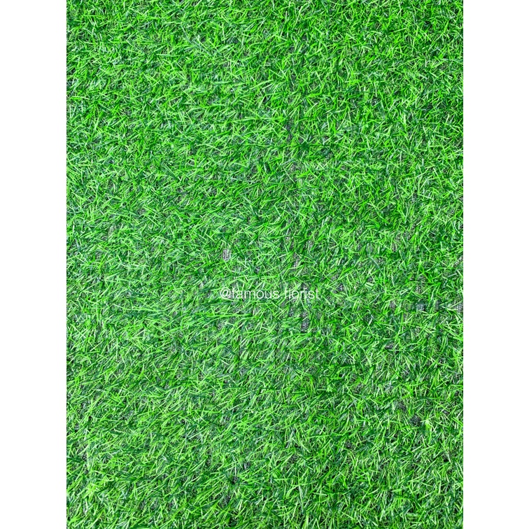 Jual Rumput sintetis 50cm x 100cm | Shopee Indonesia