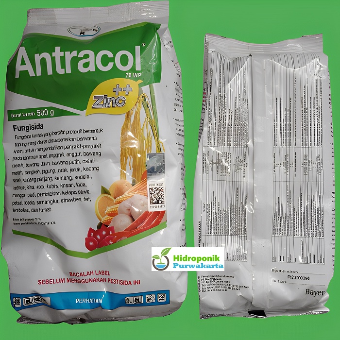Jual Antracol 70 WP Fungisida Jamur Tanaman PT Bayer Indonesia 500 Gram ...
