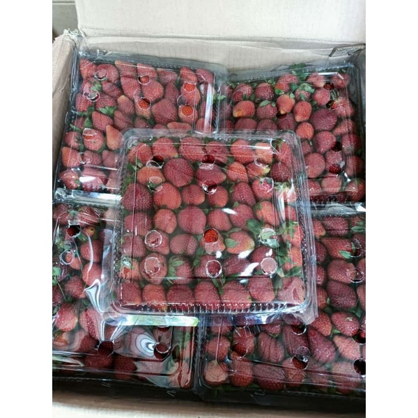 Jual STRAWBERRY FRESH BOX | Shopee Indonesia