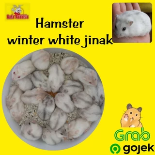 Produk Rafa Rabbit | Shopee Indonesia