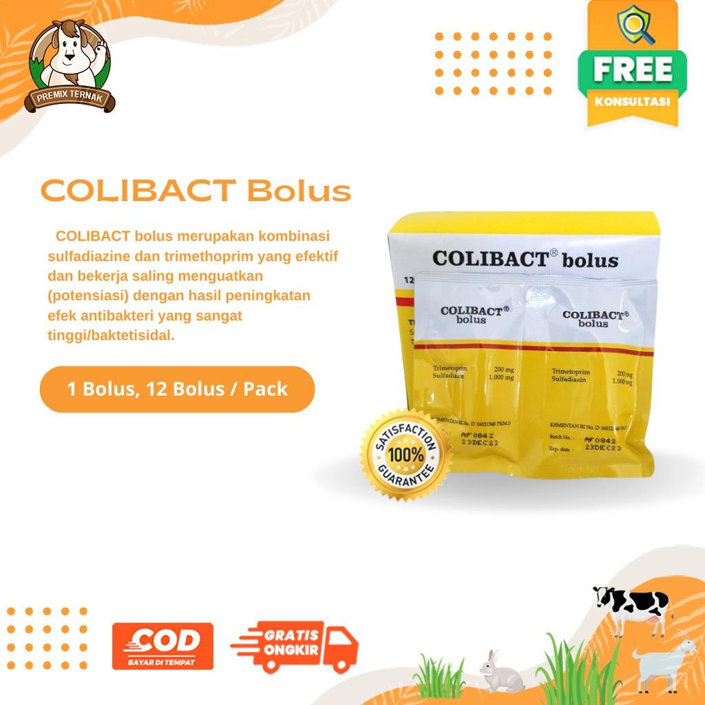 Jual COLIBACT 12 BOLUS 1 Box - Obat Antibakteri Hewan Ternak Diare ...