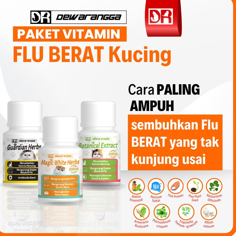 Jual Barang Bagus Vitamin FLU BERAT Kucing Dewarangga - Obat Bersin ... Jual Barang Bagus Vitamin FLU BERAT Kucing Dewarangga - Obat Bersin ...
