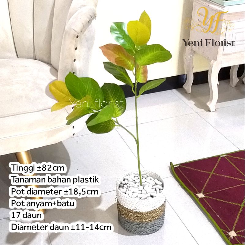 Jual pohon Ketapang artificial/ pohon kebi | Shopee Indonesia
