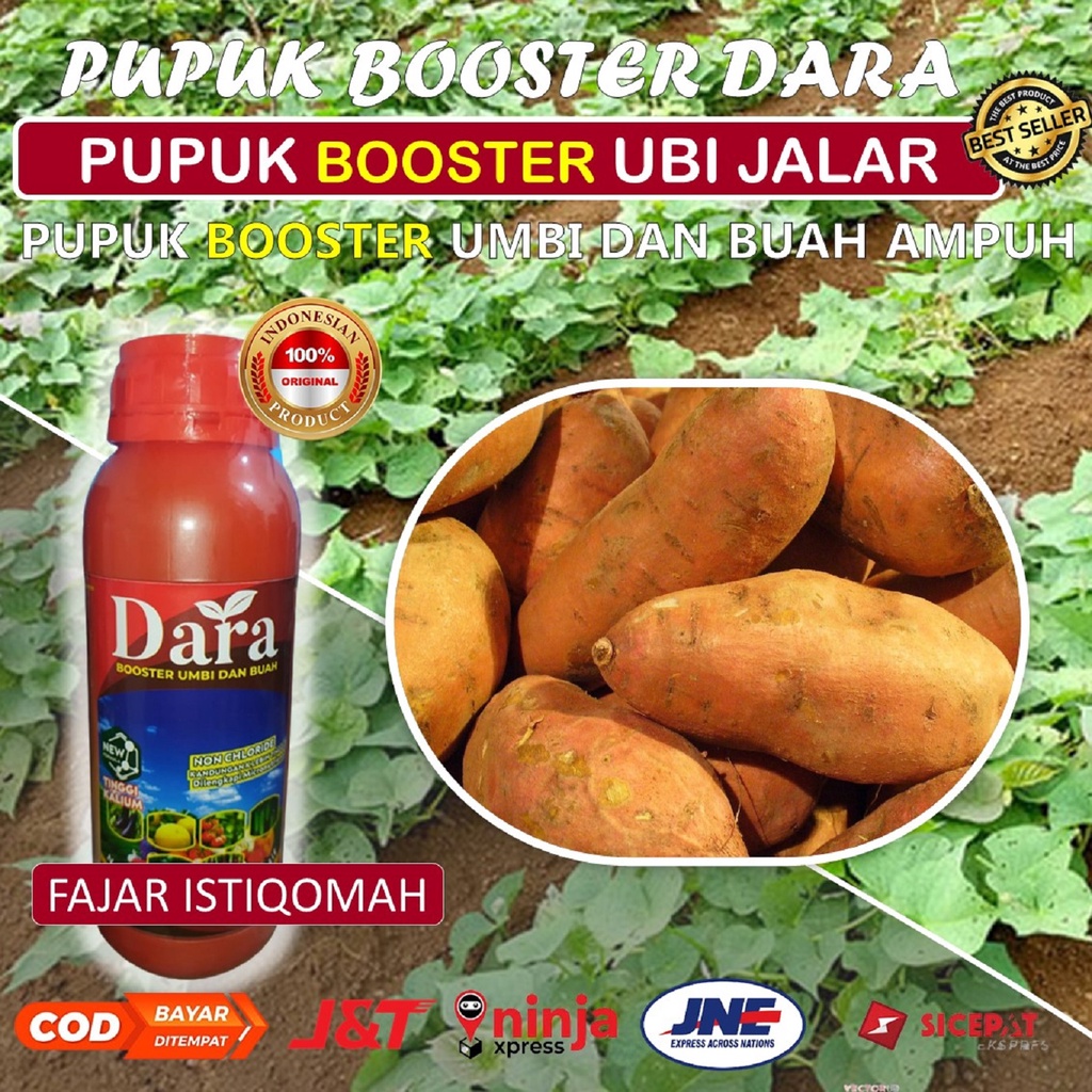 Jual pupuk tanaman manjur DARA 500 ML, pupuk booster umbi dan buah pada ...