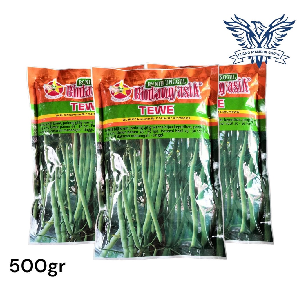 Jual Tewe 500gr Benih Buncis Biji Krem Bintang Asia Logawa | Shopee ...