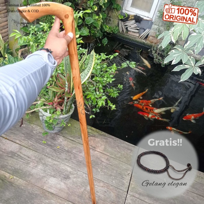 Jual Tongkat jalan kayu aghatis / kayu raja panjang 1 meter | Shopee ...