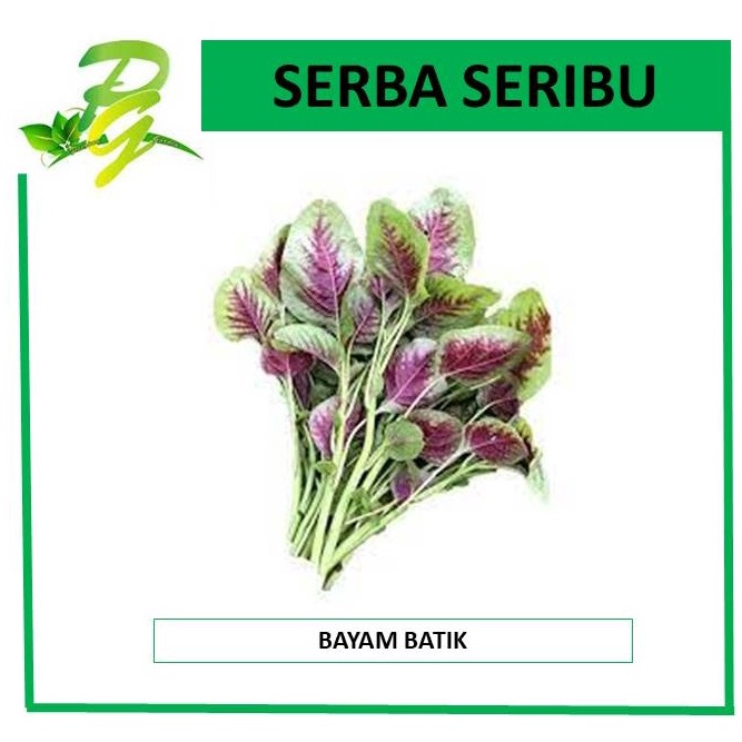 Jual Benih Seribuan Bayam Batik -Isi 40 Biji | Shopee Indonesia