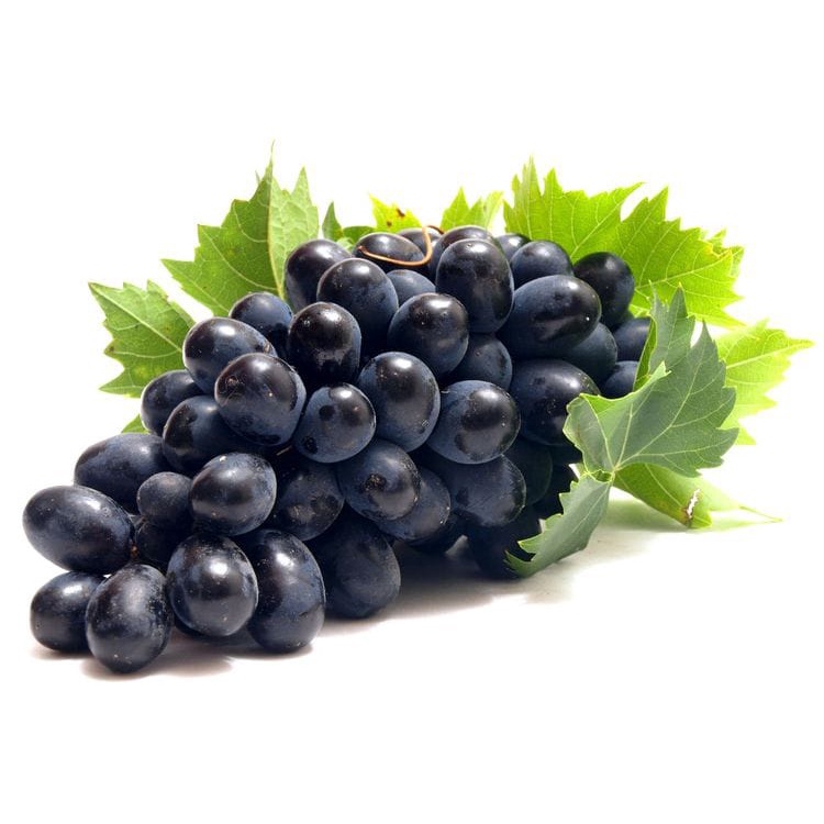 Jual Anggur lokal hitam,Anggur lokal hitam bali,anggur hitam lokal bali ...