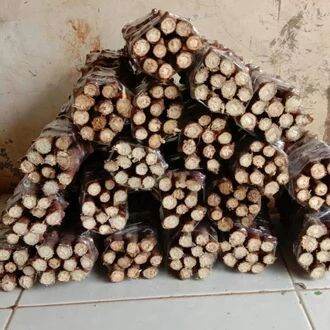 Jual 50 Stek Batang singkong mentega - Bibit Pohon Singkong Mentega isi ...