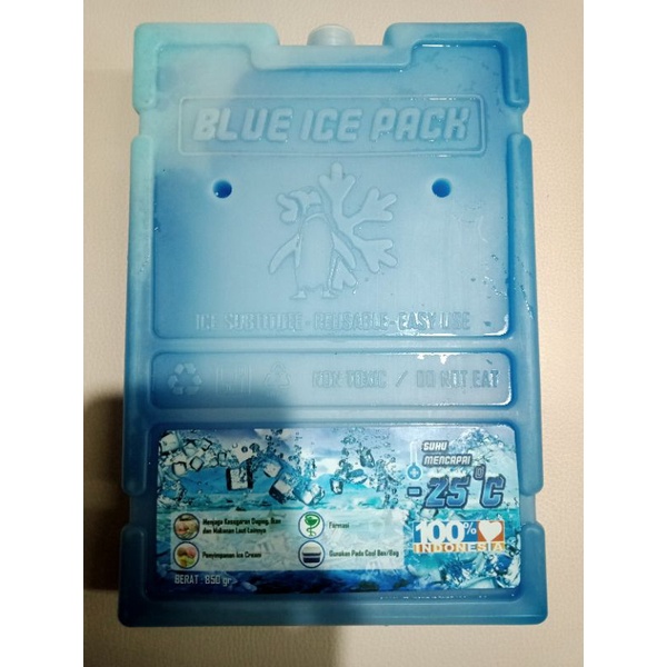 Jual BLUE ICE PACK GEL ORIGINAL / 22 CM * 15 CM / SECOND / BEKAS PAKAI ...