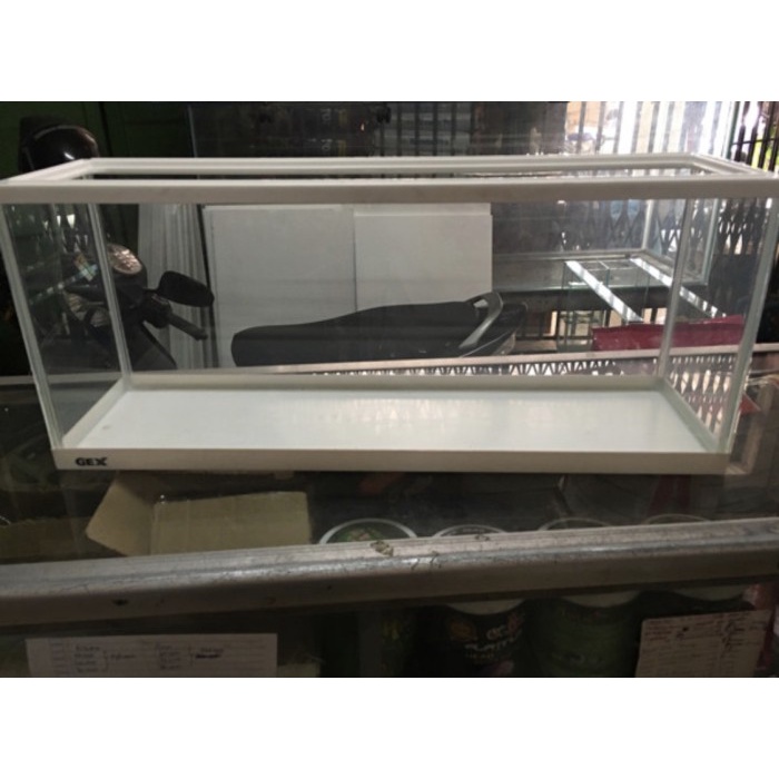 Jual Jp0148 Aquarium Akrilik Gex Desk Boy 60 Cm List Putih Minimalis | Shopee Indonesia