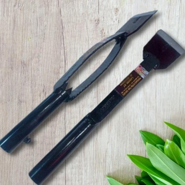 Jual Dodos Kastrasi Asli Alat Kastrasi Bunga Sawit | Shopee Indonesia