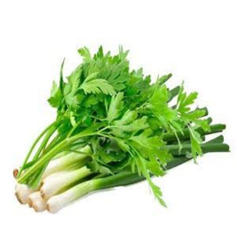 Jual Paket Daun Seledri Daun Prei | Shopee Indonesia
