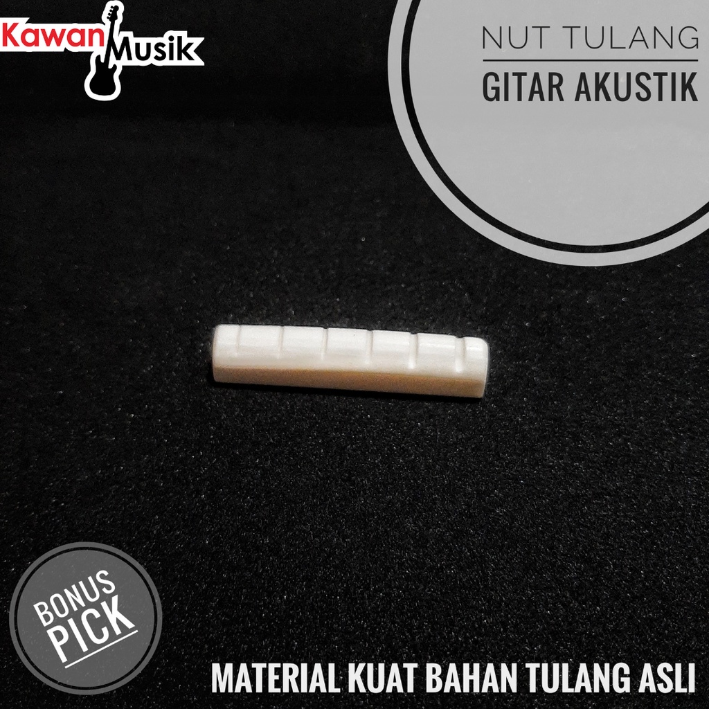 Jual Nut Bahan Tulang Asli Gitar Akustik Material Kuat Dan Tahan Lama ...