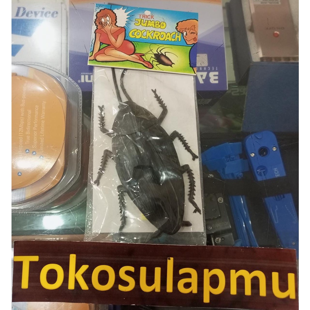 Jual Jumbo Cockroach Jokes (Video yang disertakan hanya ilustrasi ...