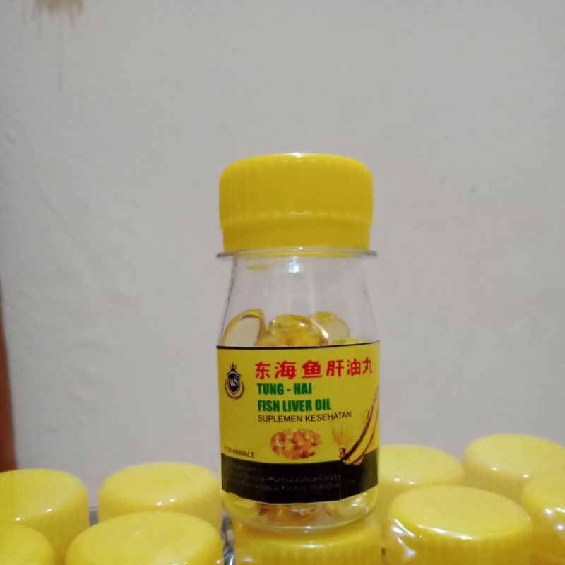 Jual Tung Hai Fish Liver Oil Minyak ikan Botol-50 pcs | Shopee Indonesia