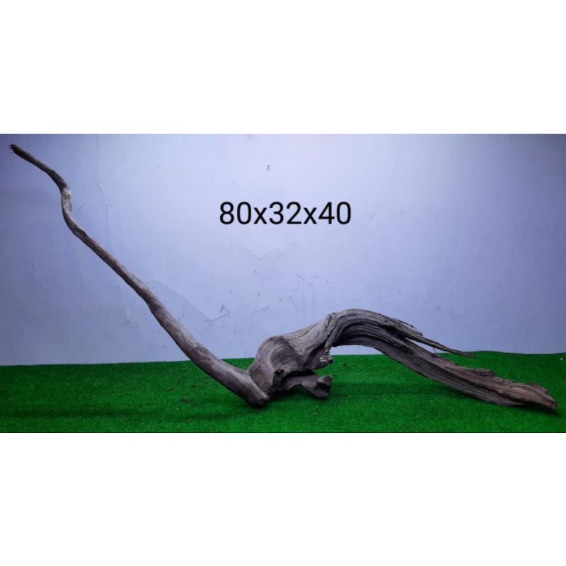 Jual Kayu Santigi Laut - Kayu Tenggelam - Aquascape - Channa - 80x32x40 ...