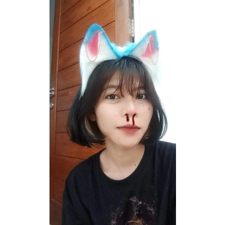 Jual nekomimi realistic bando kucing biru putih | Shopee Indonesia