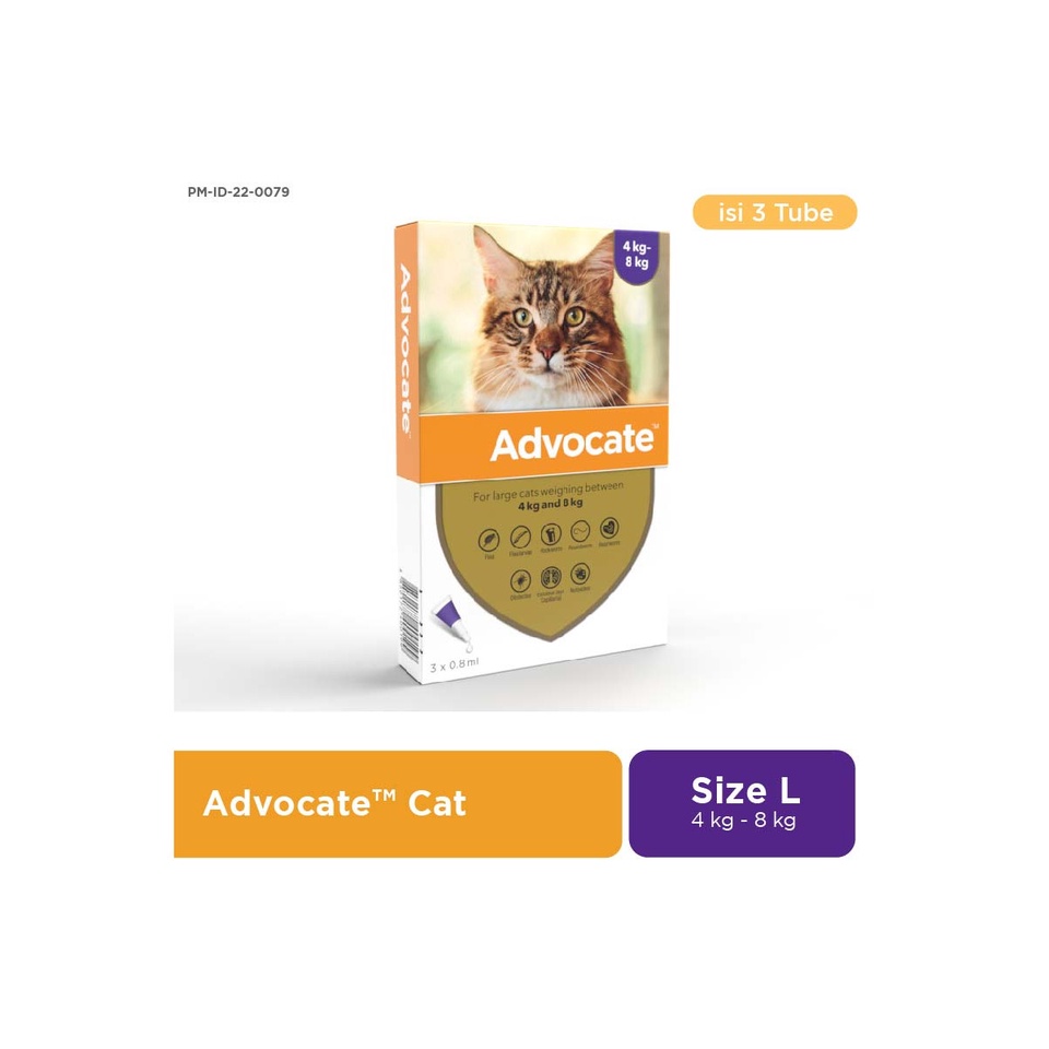Jual advocate cat 4-8 kg (M) | Shopee Indonesia