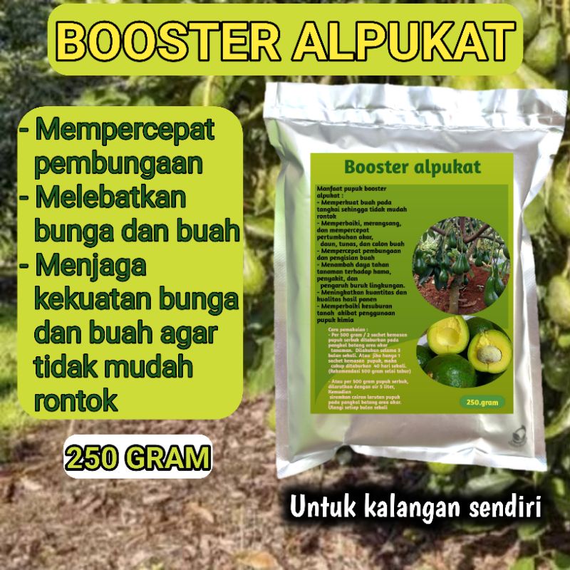 Jual Pupuk booster alpukat 250 gram perangsang bunga dan buah melebatkan dan mempercepat ...