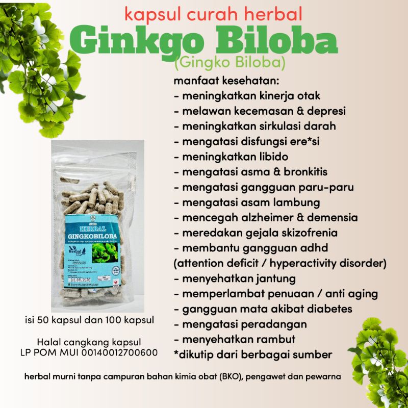 Jual Ginkgo Biloba 100 kapsul Herbal Anti Angin | Meningkatkan kinerja ...
