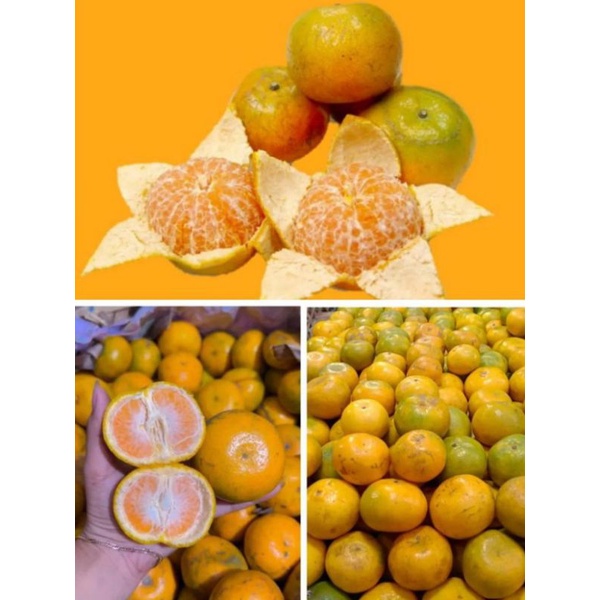 Jual JERUK MEDAN 1KG | Shopee Indonesia
