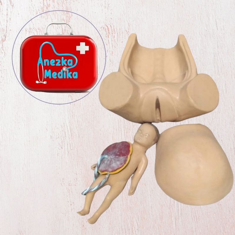 Jual PHANTOM / MANEKIN / MANIKIN PANGGUL PERSALINAN silicone | Shopee ...