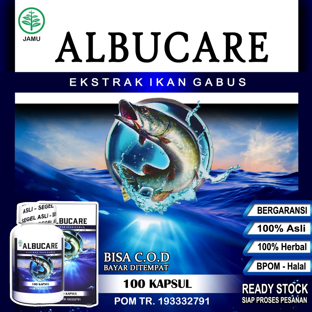 Jual Obat Hepatitis B, Penyakit Kuning, Sirosis Hati, Lemak Hati ...
