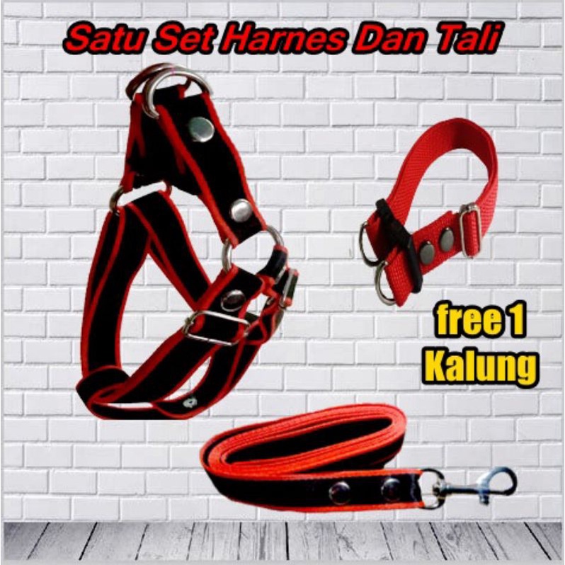 Jual Harness Anjing Satu Set Tali Tuntun Panjang 1,5 Meter Harnes Untuk ...