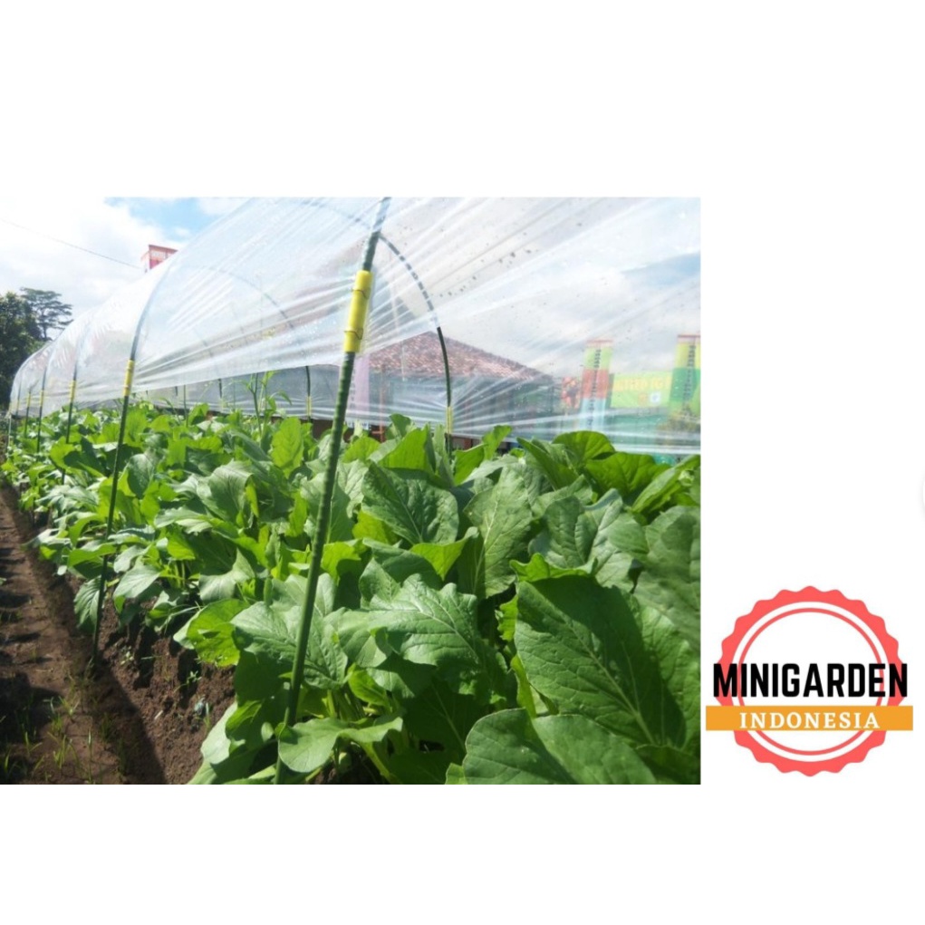 Jual SUNGKUP TANAMAN MODERN PIPE TUNNEL KUALITAS JEPANG 210 CM rangka ...