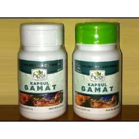 Jual GAMAT KAPSUL HNI HPAI (Golden sea Cucumber, Teripang Emas ...