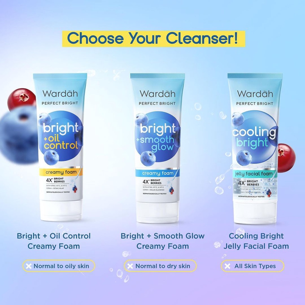 Jual Wardah Perfect Bright Creamy Foam Brightening + Oil Control ...