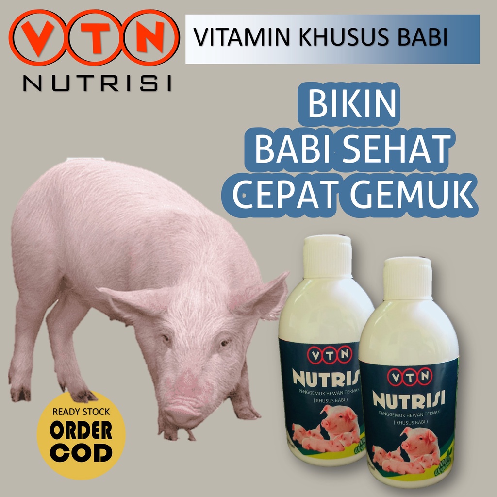 Jual Vitamin Nutrisi Ternak Penggemukan Babi 250 ml Babi Cepat Besar ...