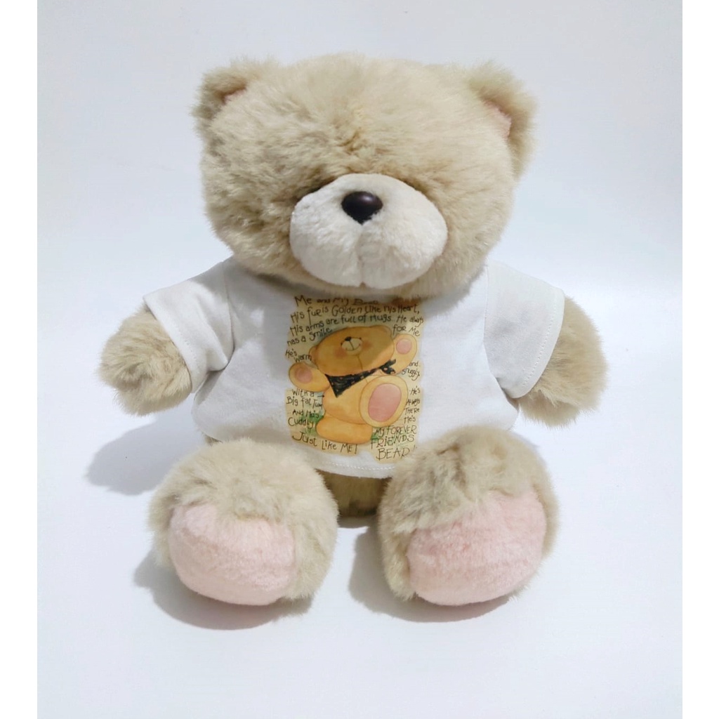Jual Boneka Teddy Bear Forever Friends Original Andrew Brownsword UK ...