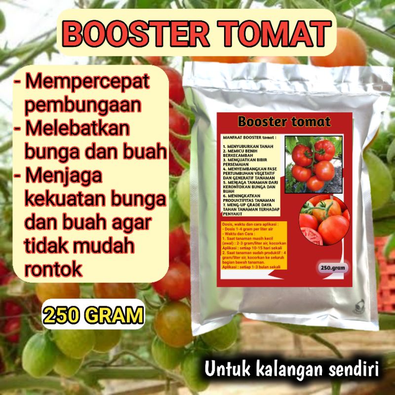 Jual Pupuk booster tomat perangsang bunga dan buah melebatkan dan mempercepat pertumbuhan anti ...