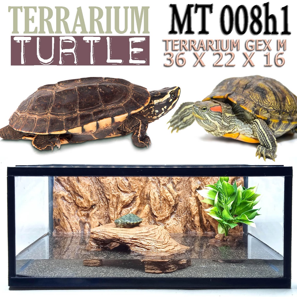 Jual MT008H1 AKUARIUM TERRARIUM REPTILE KANDANG KURA KURA AIR TURTLE ...