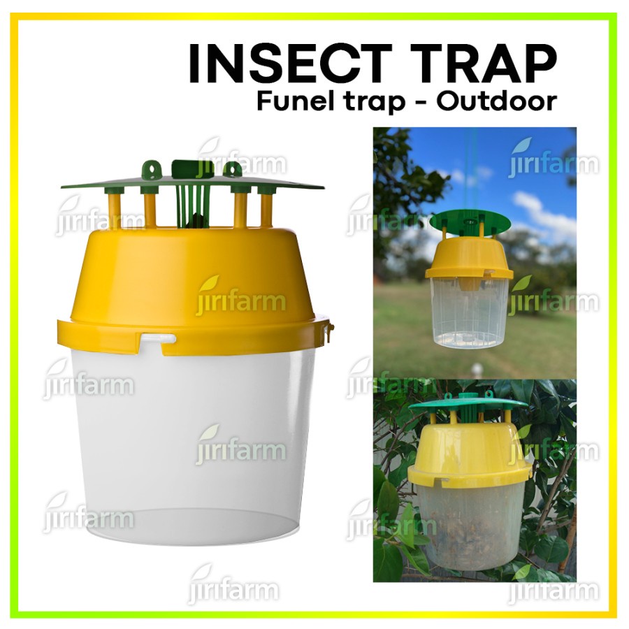 Jual Perangkap Serangga Insect Trap Bucket Trap Diameter 16 cm Untuk ...