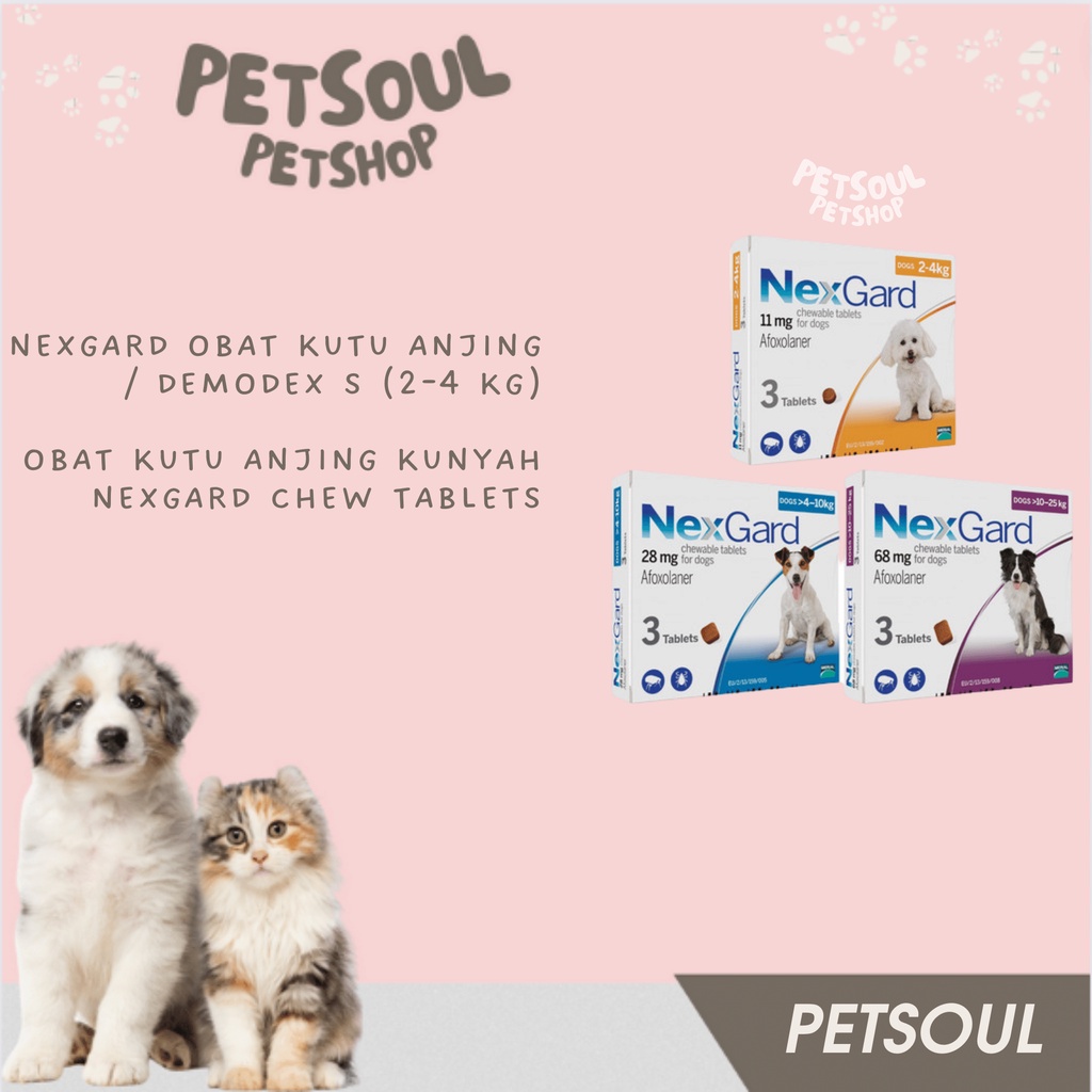 Jual Nexgard Obat Kutu Anjing / Demodex M (4-10 kg) | Shopee Indonesia