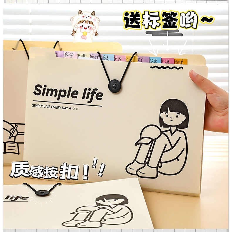 Jual Folder Dokumen Expanding File Organizer A4 5 8 12 slots Aesthetic ...