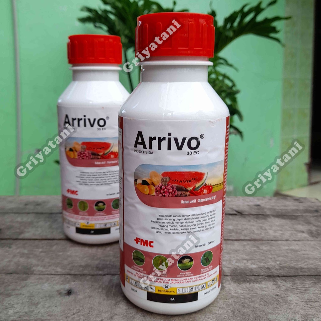 Jual Insektisida Arrivo 30EC 500ml sipermetrin | Shopee Indonesia