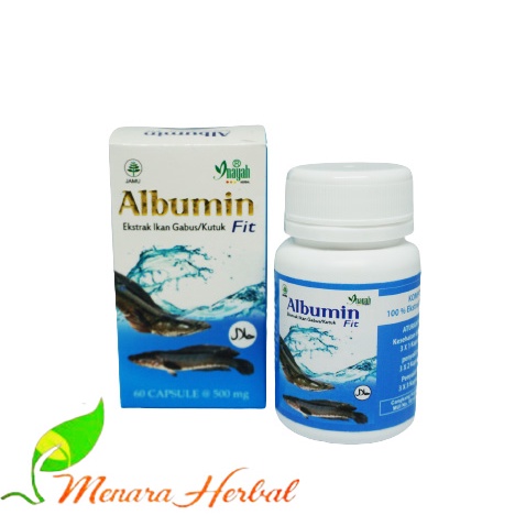 Jual Kapsul Ekstrak Ikan Gabus Albumin Fit Inayah Isi 60 Kapsul | Shopee Indonesia