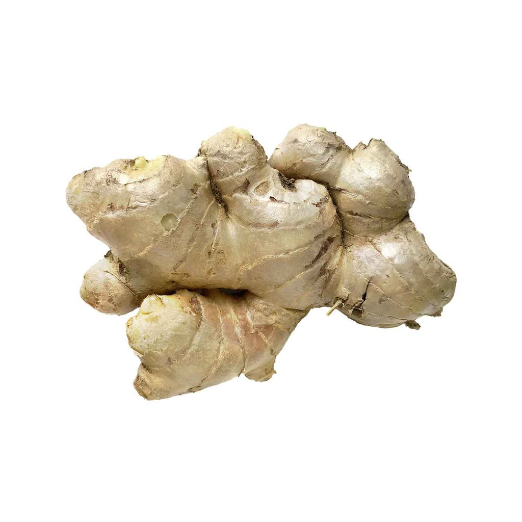 Jual Jahe Gajah Jahe Putih 1kg / Jahe Besa White Ginger | Shopee Indonesia