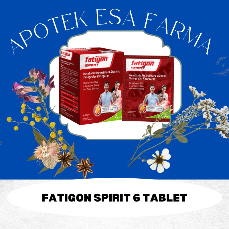 Jual Fatigon Spirit Multivitamin Penambah Stamina 6 tablet | Shopee ...
