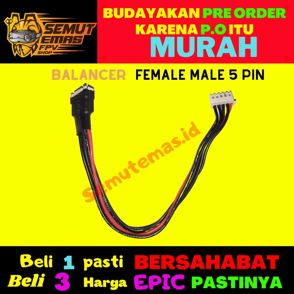 Jual Balancer 5 Pin Male Female | Shopee Indonesia