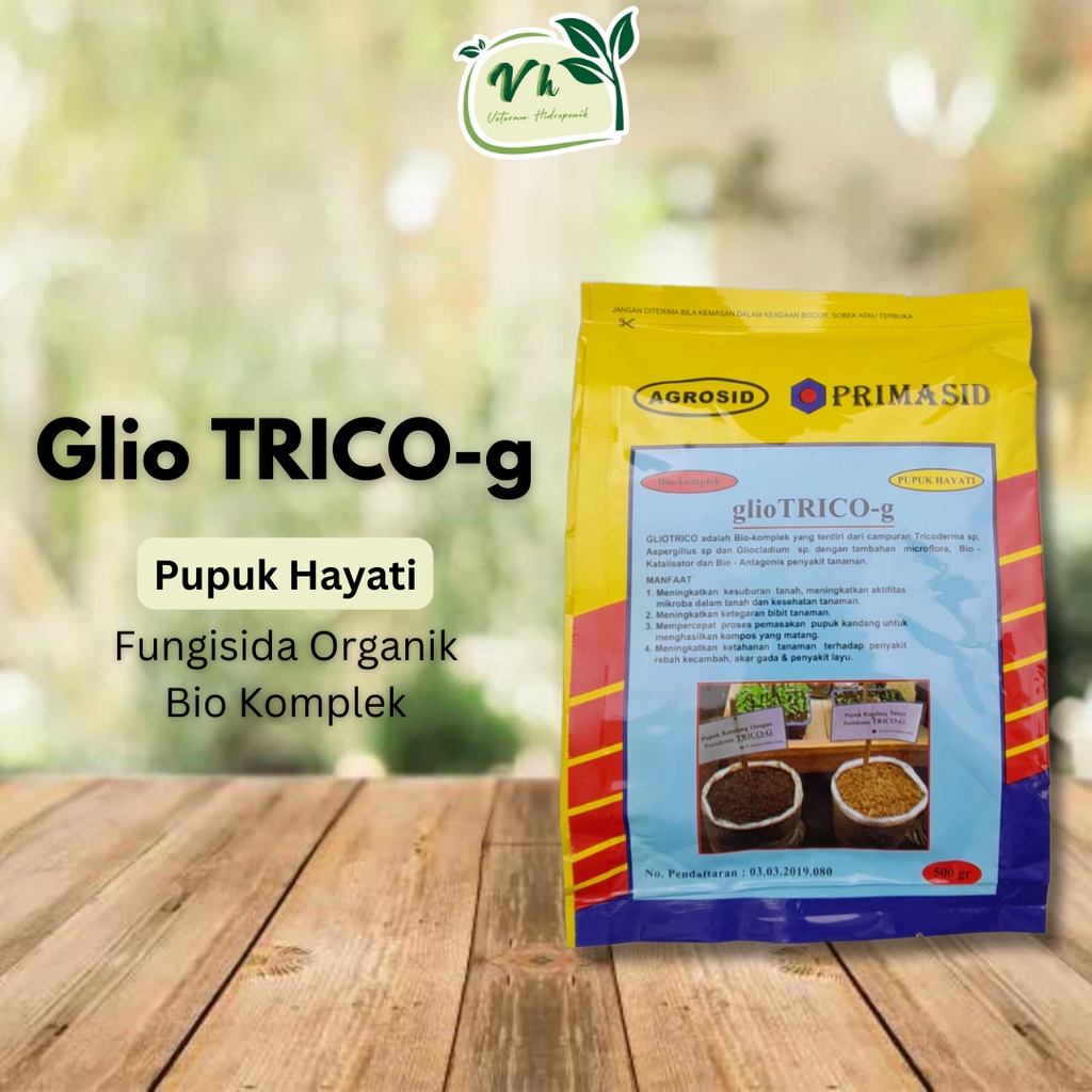 Jual Tricoderma Glio TRICO G 500 gram Trichoderma Fungisida Biologis ...