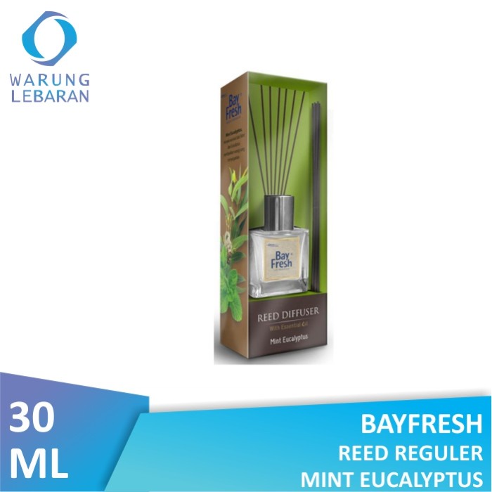 Jual Bayfresh Reed Diffuser Mint Eucalyptus Device 30ml | Shopee Indonesia