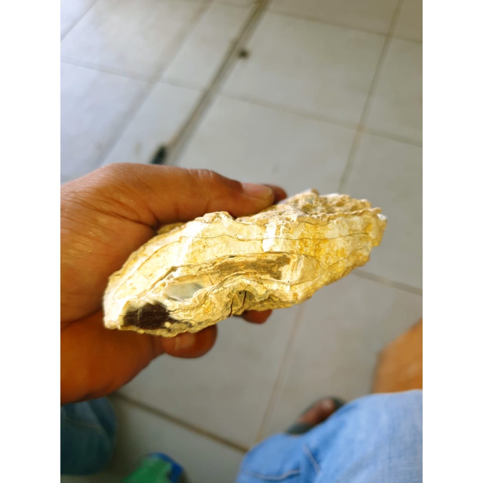 Jual BAHAN BATU cempaka madu NATURAL ORIGINAL KD3600 | Shopee Indonesia