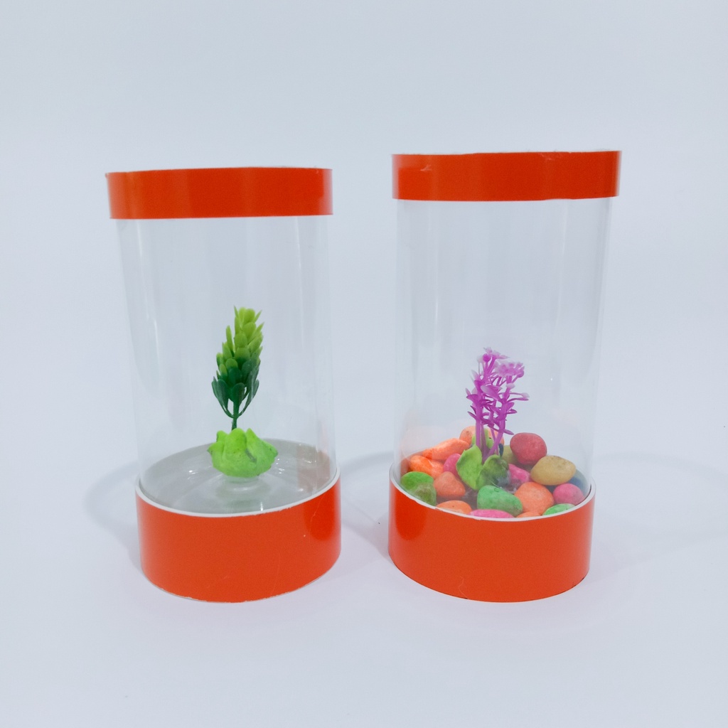 Jual Aquarium Mini Ikan Guppy Aquarium Mini Ikan Hias. | Shopee Indonesia Jual Aquarium Mini Ikan Guppy Aquarium Mini Ikan Hias. | Shopee Indonesia